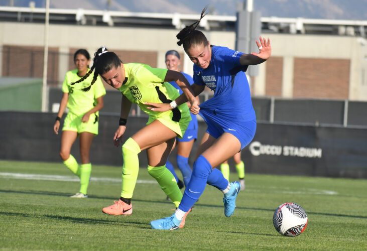 Sports | News, Sports, Jobs - Daily Herald